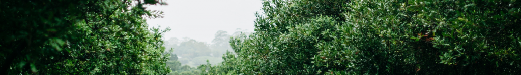 What does a 30g serve of nuts look like? - Nuts for Life | Australian ...