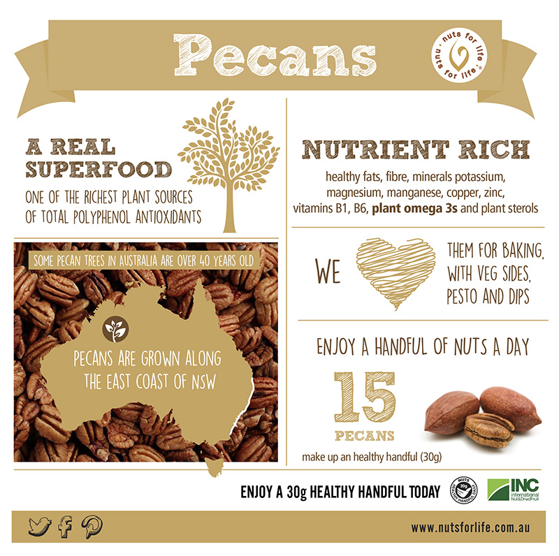 Nut infographics - Nuts for Life | Australian Tree Nuts for Nutrition ...