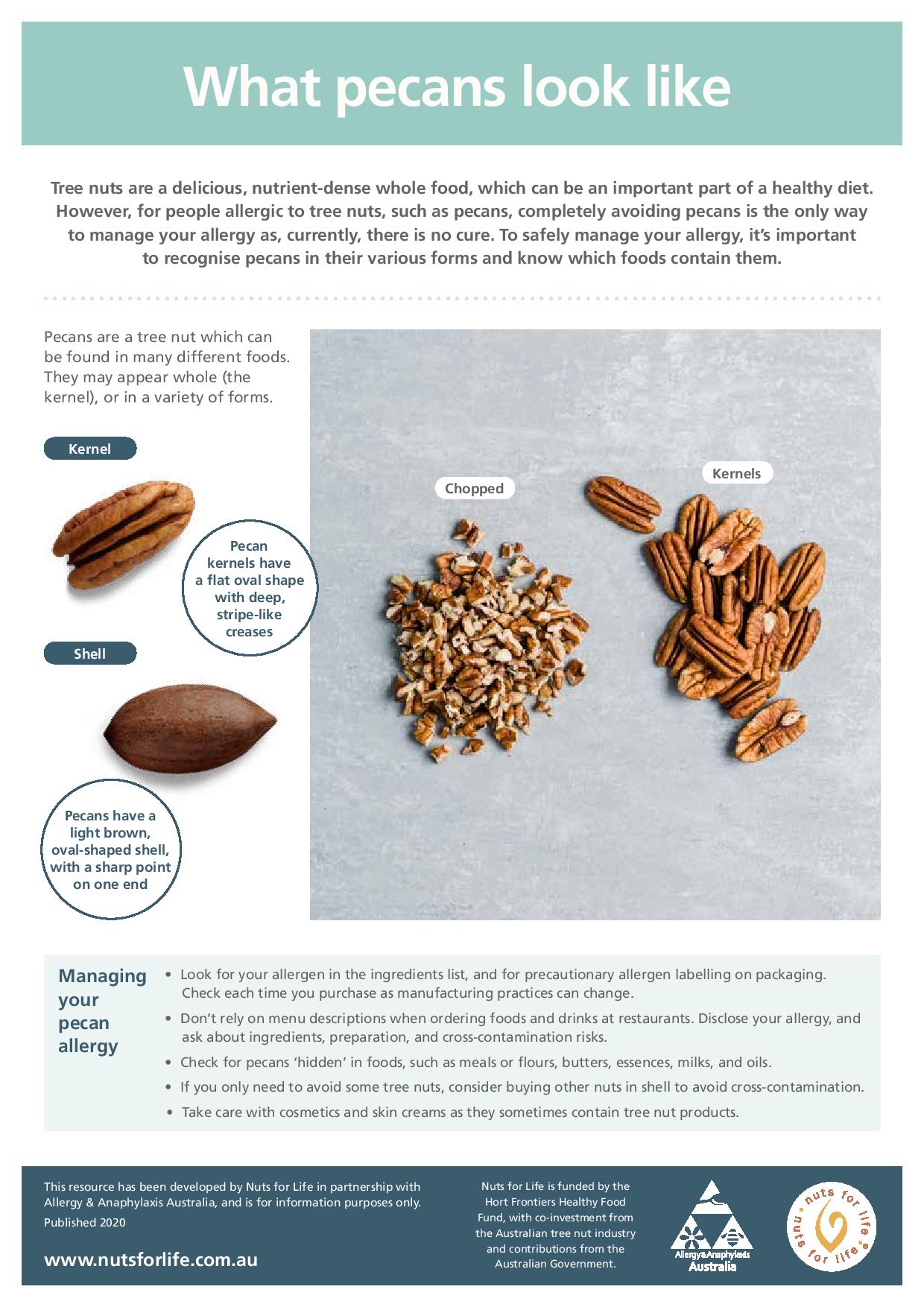Managing your allergy fact sheets - Nuts for Life | Australian Nuts for ...