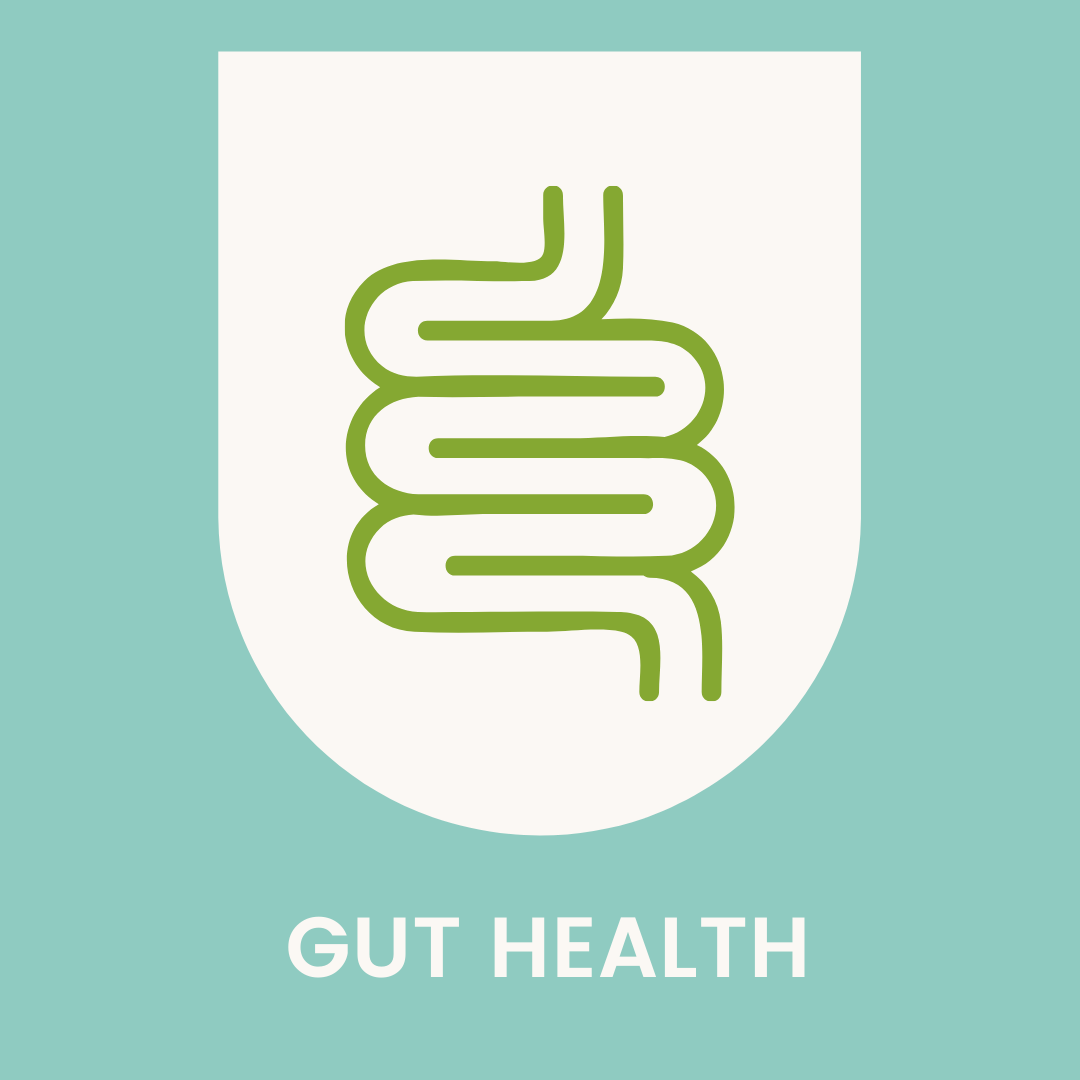 Gut health research