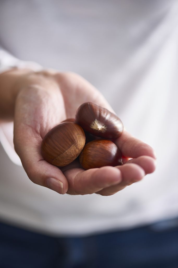 Chestnuts