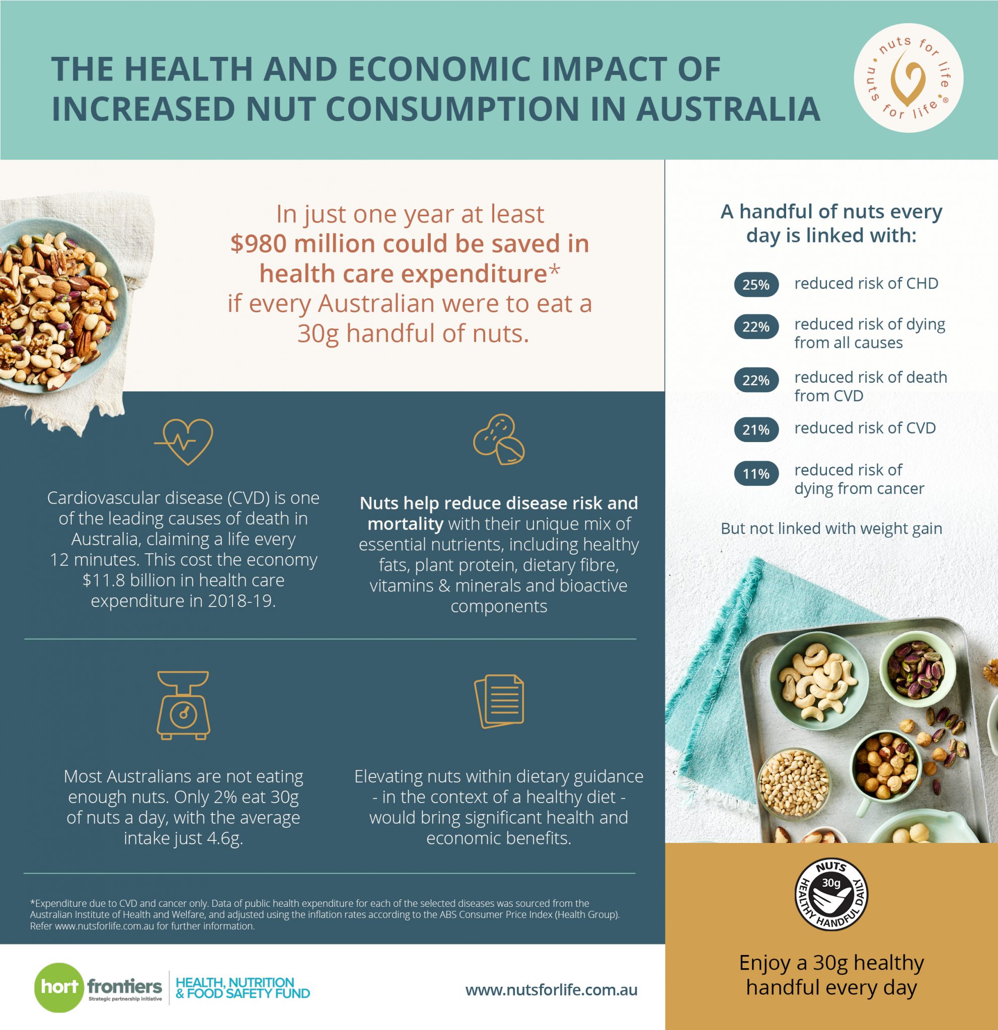 Nuts and health infographics