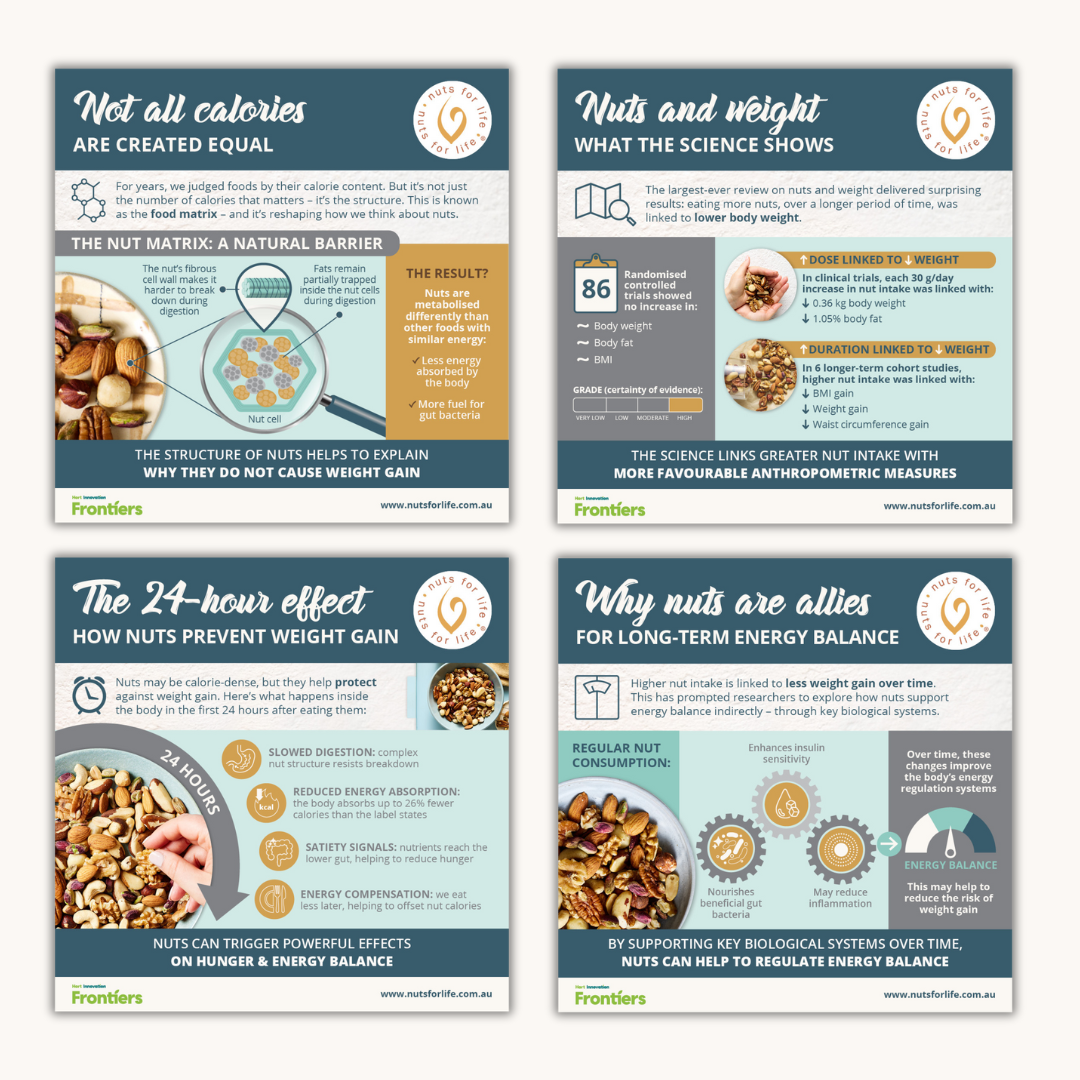 Nuts and weight infographics