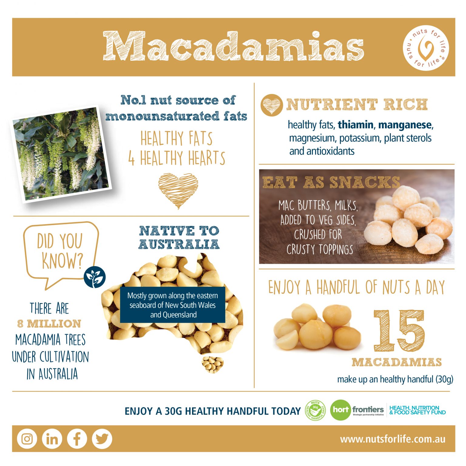 Nut infographics - Nuts for Life | Australian Tree Nuts for Nutrition ...