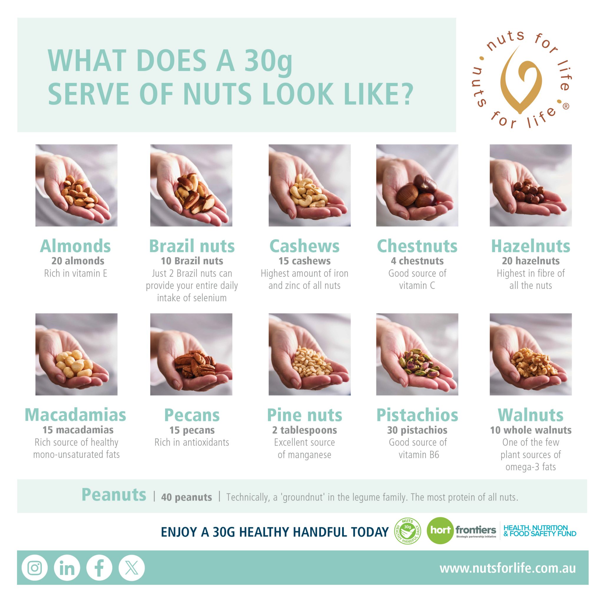 Nuts and health infographics - Nuts for Life | Australian Nuts for ...