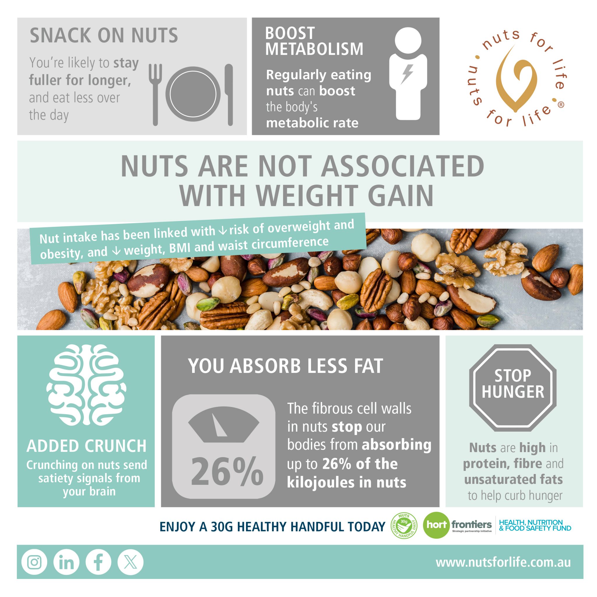 Nuts and health infographics