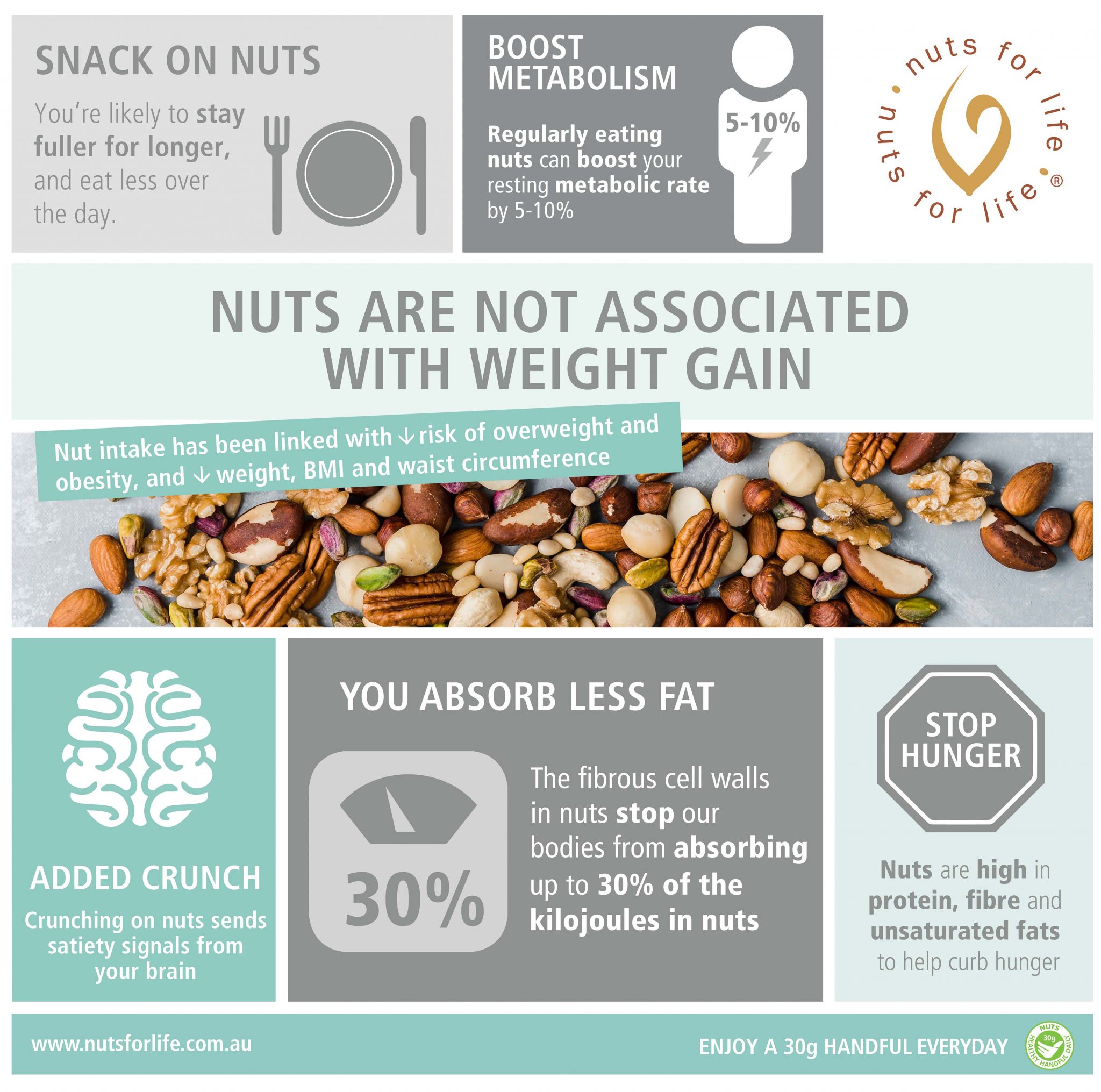Nuts and health infographics - Nuts for Life | Australian Nuts for ...